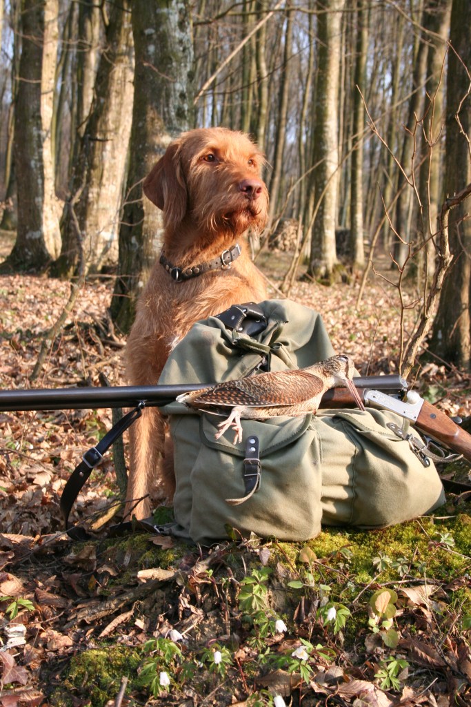 Die Schnepfe – KRAUTJUNKER