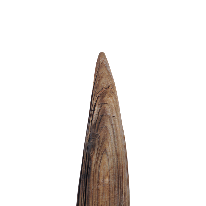 Die Speere von Schöningen: Homo erectus und die » deutsche ...