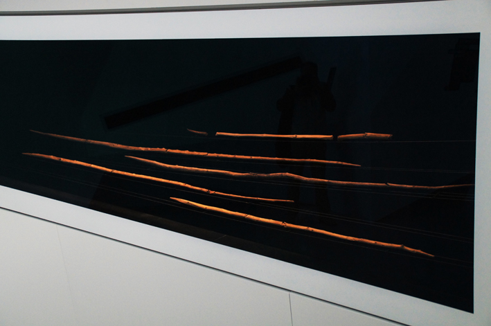 Die Speere von Schöningen: Homo erectus und die » deutsche ...