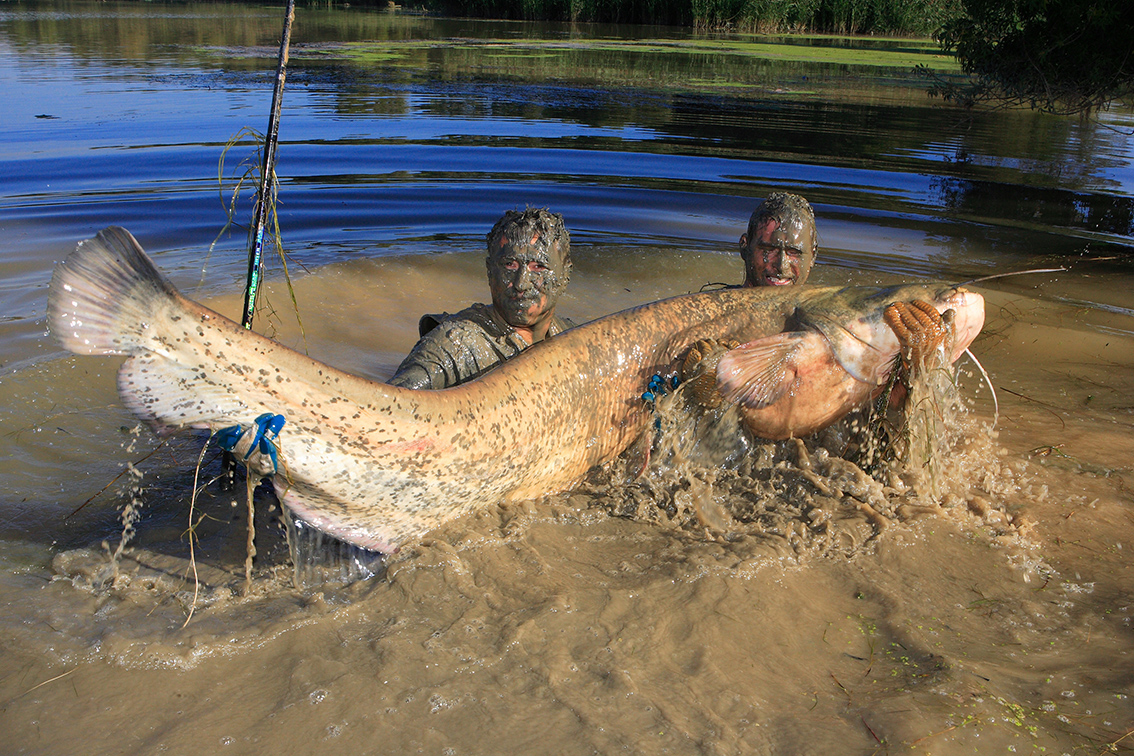 Angelabenteuer Spanien: Der Ebro – alles im Fluss – KRAUTJUNKER