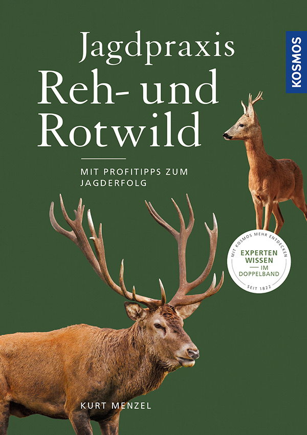 Rehwild: Fortpflanzung und Bestandsdynamik – KRAUTJUNKER