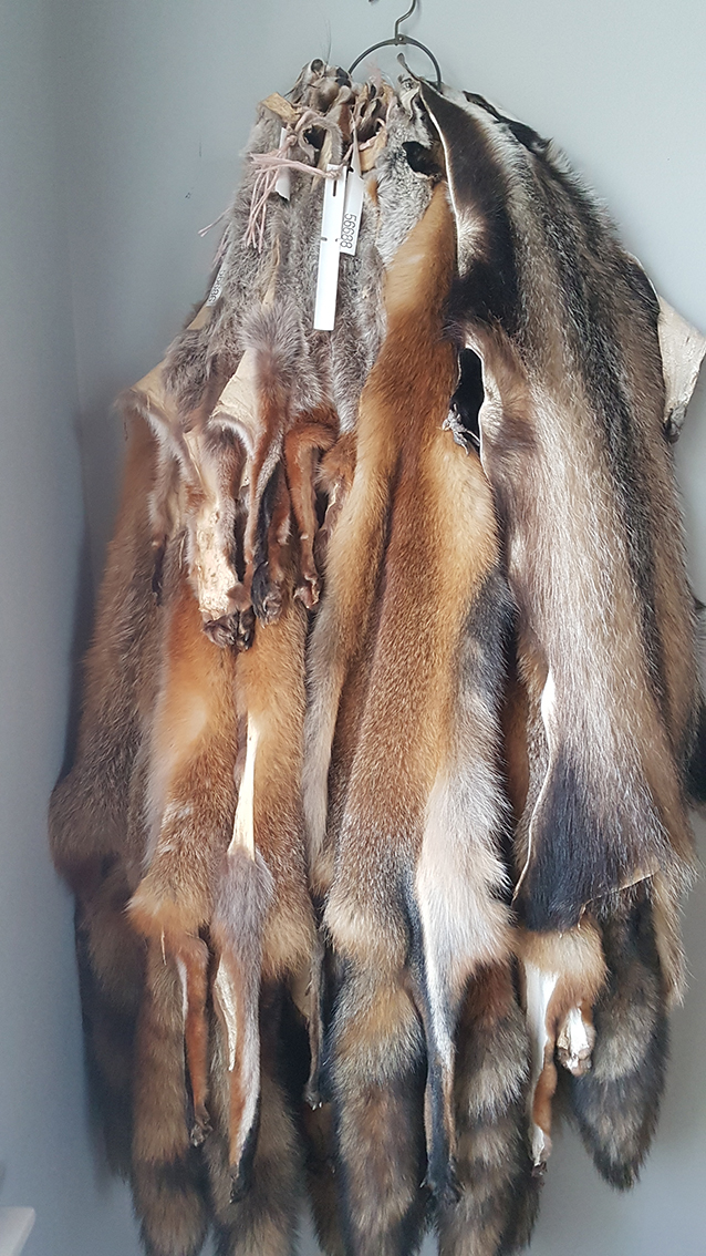 Fuchsjagern – KRAUTJUNKER