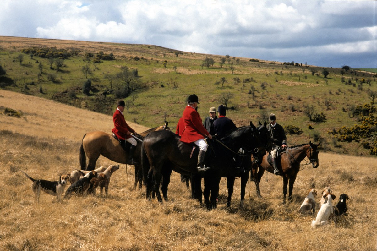 Vom ersten Male (2/2) – KRAUTJUNKER