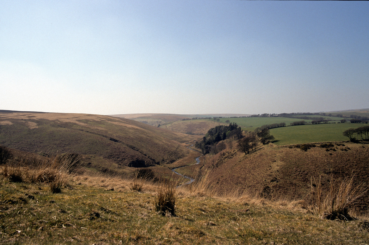 Vom ersten Male (2/2) – KRAUTJUNKER