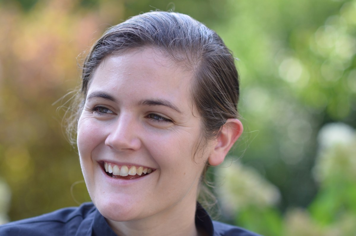 Stern? – Schnuppe! – KRAUTJUNKER