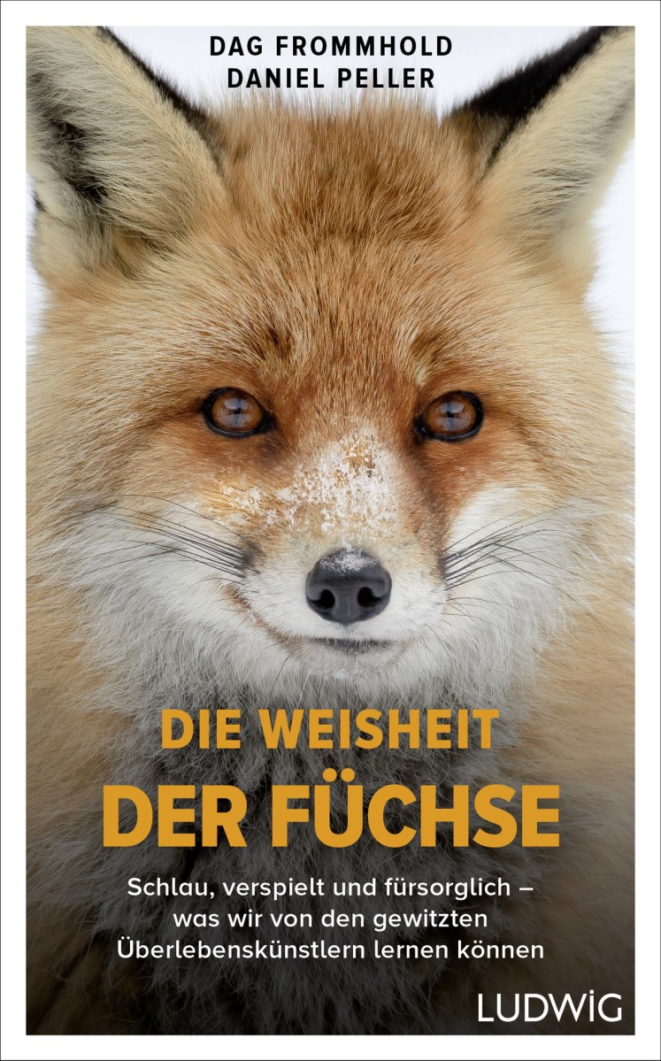 Die Weisheit der Füchse. Schlau, verspielt und fürsorglich – was wir ...